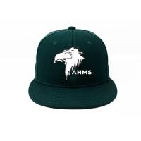China High quality Custom Made eagle printing Logo Printed Hip Hop Snapback Hats Caps for sale