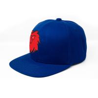 China Custom Snapback Hat 100% Cotton Flat Brim Sports Cap for Adult Kid 58cm for sale