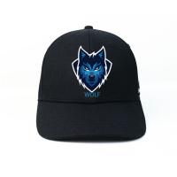 China Custom 100% Cotton 6 Panel Baseball Cap with Inner Tape Printing Black for OEM Branding for sale