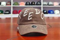 China ACE Corduroy Soft Fabric Custom Baseball Cap Flat Embroidery Logo Long Curve Brim Adult Children for sale