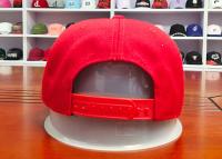 China Custom 3D Embroidery Logo Snapback Cap for Men Women Outdoor Polyester Cotton 56-60cm for sale
