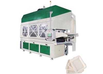 China Fully Automatic Biodegradable Sugarcane Bagasse Tableware Pulp Molding Machine 5700×2600×4100mm with 100 Sets/Year Capacity for sale