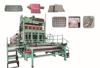 China 130kw Industrial Egg Tray Machine 1200-1500 Pcs per Hour Pulp Molding Equipment for sale