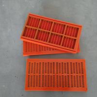 China Polyurethane Dewatering Screen Panel 30mm 40mm 50mm Thickness Anti-Adhesion for Mining Shaker for sale
