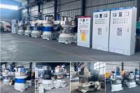 China Hydraulic Biomass Briquette Machine for Fuel Making for sale