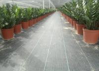 China Black Geosynthetic PP Weed Barrier Fabric 130g 1m Width for Horticulture and Landscaping for sale