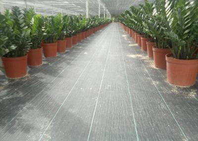 China Black Geosynthetic PP Weed Barrier Fabric 130g 1m Width for Horticulture and Landscaping for sale