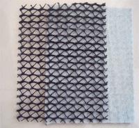 China 2m Width Black HDPE Geonet Geotextile 5mm Thickness Lightweight Drainage for Sports Field for sale