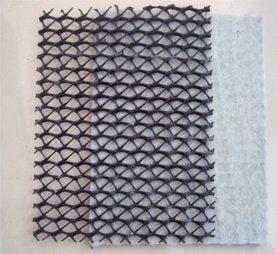 China 2m Width Black HDPE Geonet Geotextile 5mm Thickness Lightweight Drainage for Sports Field for sale
