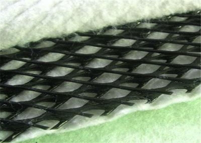 China HDPE Geonet Geocomposite 1200g/m2 6mm Thickness Drainage Filtration for Erosion Control for sale