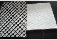 China Slope Protection Geocomposite Hdpe Geonet With Two-Dimension In Construction for sale