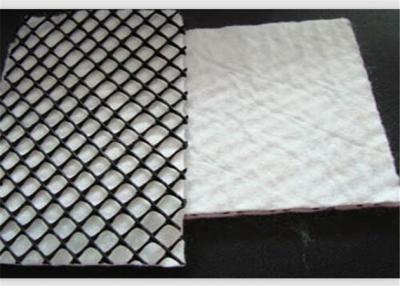 China Slope Protection Geocomposite Hdpe Geonet With Two-Dimension In Construction for sale