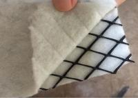China Two Dimensional Geocomposite HDPE Geonet 200GSM PET Nonwoven Geotextile Black for sale