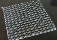 China Composite Tri-planar Geonet 750g/m2 with Nonwoven Geotextile for Drainage for sale