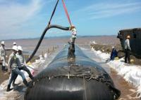 China High Strength PP Woven Geotextile for Geotube & Geocontainer - 160-900 g/㎡ Weight, 50-300 kN/m Tensile Strength for sale