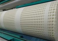 China White High Reinforced Polyester Geogrid 40kN to 800kN for Coal Mine Support for sale