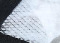 China HDPE Two-Dimensional Composite Drainage Geonet 4mm for Landfill 30m Rolls with Geotextile for sale
