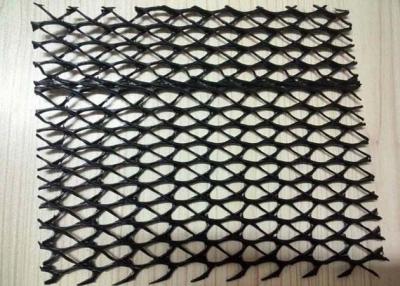 China HDPE 3D Drainage Geonet 6.2-18 kN/m Tensile Strength 2m Width for Roadbed Slope Protection for sale