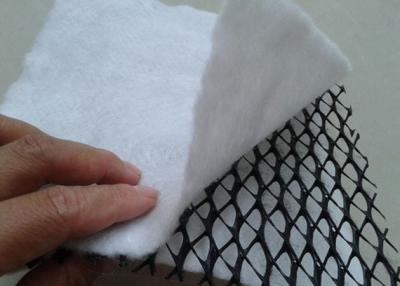 China HDPE 3D Composite Geocomposite Drain Geonet 1-4m Width with White Geotextile for sale