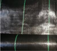 China Black PP Woven Geotextile Anti-Grass Cloth - 100% Weed Barrier with UV Resistance for Greenhouse & Ground Cover for sale