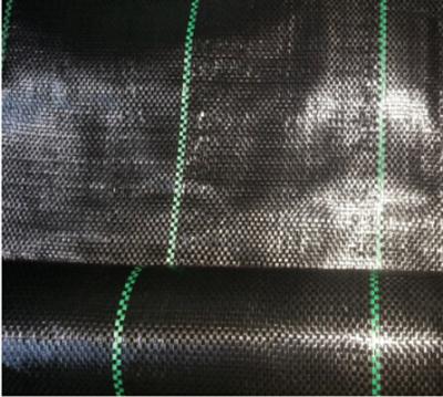 China Black PP Woven Geotextile Anti-Grass Cloth - 100% Weed Barrier with UV Resistance for Greenhouse & Ground Cover for sale