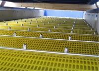 China High Screening Performance Polyurethane Flip Flop Screen with Highly Resilient Elastomer and Customizable Color for Mining Sieve for sale