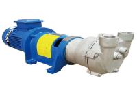 China 2BV Series Water Ring Vacuum Pump 27-500 m3/h Suction Capacity Single Stage for sale