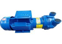 China 2BV Series Water Ring Vacuum Pump 27-500 m3/h Suction Capacity Single Stage for sale