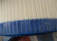 China Large Loop Polyester Spiral Dryer Screen 8mm 2300N/cm for Paper Making for sale