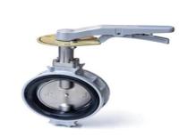 China Triple Eccentric Flange Butterfly Valve DN50 Cast Steel API DIN for sale