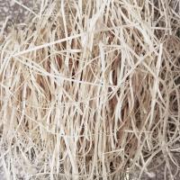 China Customizable Paper Filler Shredder 2mm 3mm 4mm Stripe Sizes for Design Paper Filling for sale