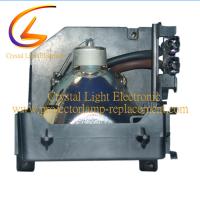 China Sony LMP H202 Projector Lamp Replacement HW30ES 200W for sale