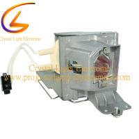 China BL-FU195A SP.72G01GC01 BL-FU195C SP.72J02GC01 Projector Lamp NP40LP NP-VE303 for sale