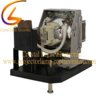 China 5811100818 NP12LP 60002748 PRO7500DP-930 5J.JAM05.001 TLPLW25 NP4100 Lamp for sale