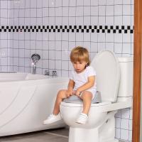 China Environmentally Friendly Baby Toilet Seat Infant Toilet Training Seat OEM ODM for sale