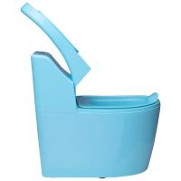 China Blue Plastic Baby Training Potty Seat with Custom Logo EN-71 Certified Lightweight at 2.1kg for sale