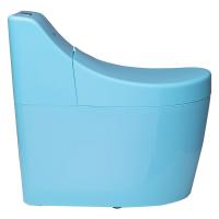 China Blue Plastic Baby Training Potty Seat with Custom Logo EN-71 Certified Lightweight at 2.1kg for sale