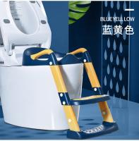 China Luxury Toddler Potty Ladder Toilet Seat Ergonomic for sale