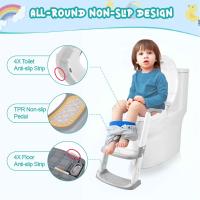 China Luxury Toddler Potty Ladder Toilet Seat Ergonomic for sale