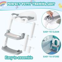 China Luxury Toddler Potty Ladder Toilet Seat Ergonomic for sale