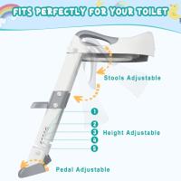 China Luxury Toddler Potty Ladder Toilet Seat Ergonomic for sale