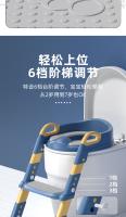 China Solid Pattern Type Children Potty Ladder Toilet Seat With Soft Cushion for sale