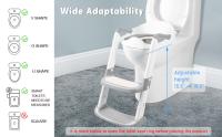 China Grey/Blue/Red 3 In 1 Potty Training Seat With Step Stool Ladder Fits 1-10 Years Old for sale