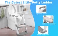 China Grey/Blue/Red 3 In 1 Potty Training Seat With Step Stool Ladder Fits 1-10 Years Old for sale