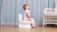 China Safe and Eco Friendly Baby Potty Toilet Training Seat for E Commerce Stores for sale