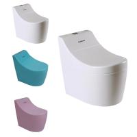 China Customized Color Eco Friendly Baby Potty Toilet with EN-71 Certification and Logo Customization for sale