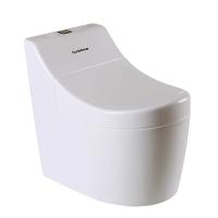 China White Baby Potty Toilet Cradle with Toilet Trainer Feature - Printed Design for sale