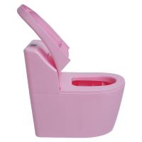 China Modern Blue Baby Potty Toilet With EN-71 Certification Lightweight Design and Customizable Logo for sale