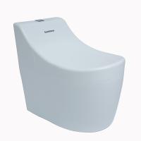 China Eco Friendly PP Baby Potty Toilet Trainer with EN-71 Certification and Lightweight Design for sale