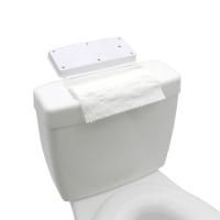 China Real Kids Toilets Baby Potty Toilet For Training in Pink/White/Blue for sale